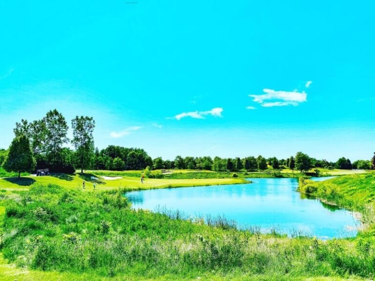 Dragon's Fire Golf Club - Hometown Hub